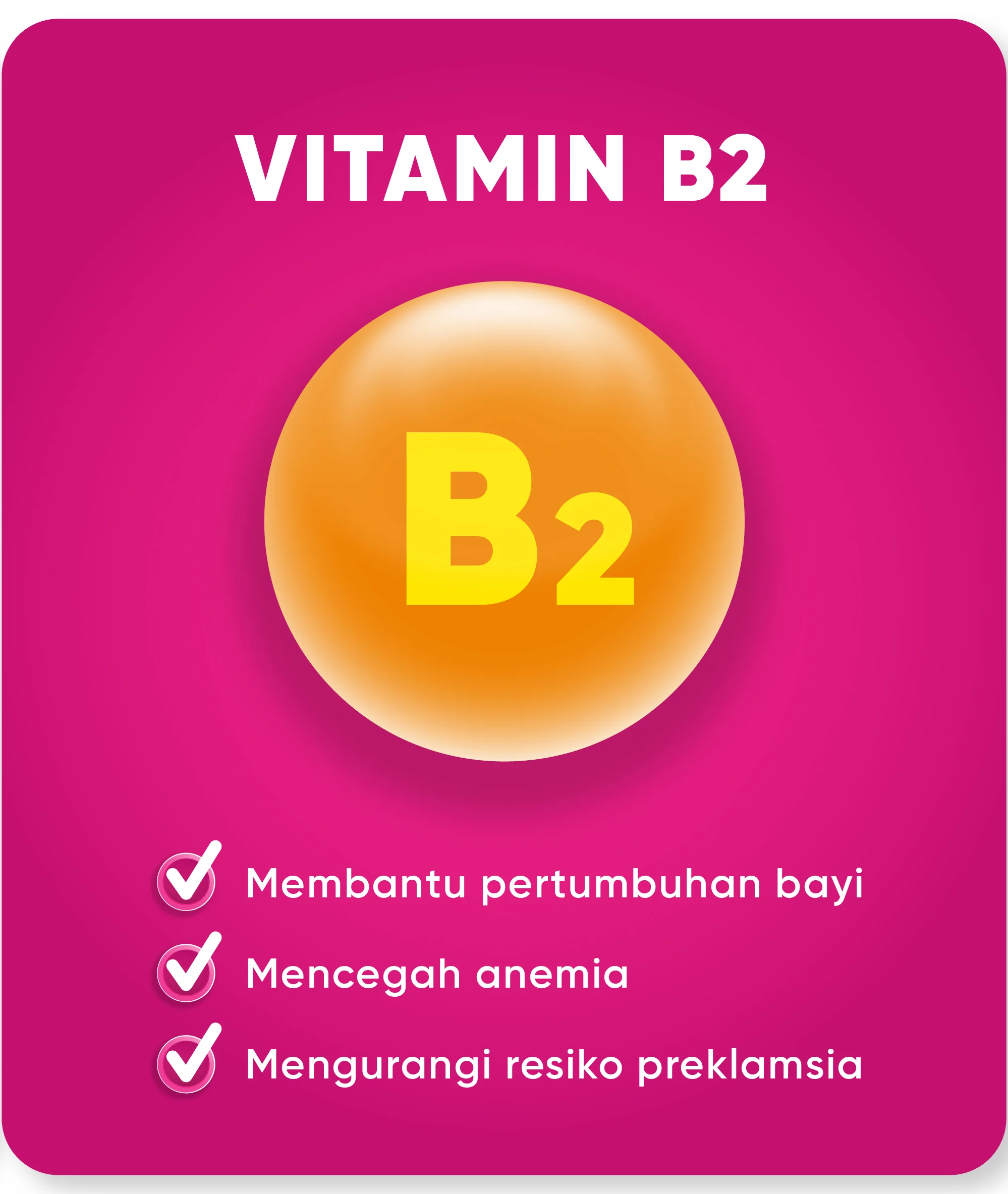 B2 – Momsy Official